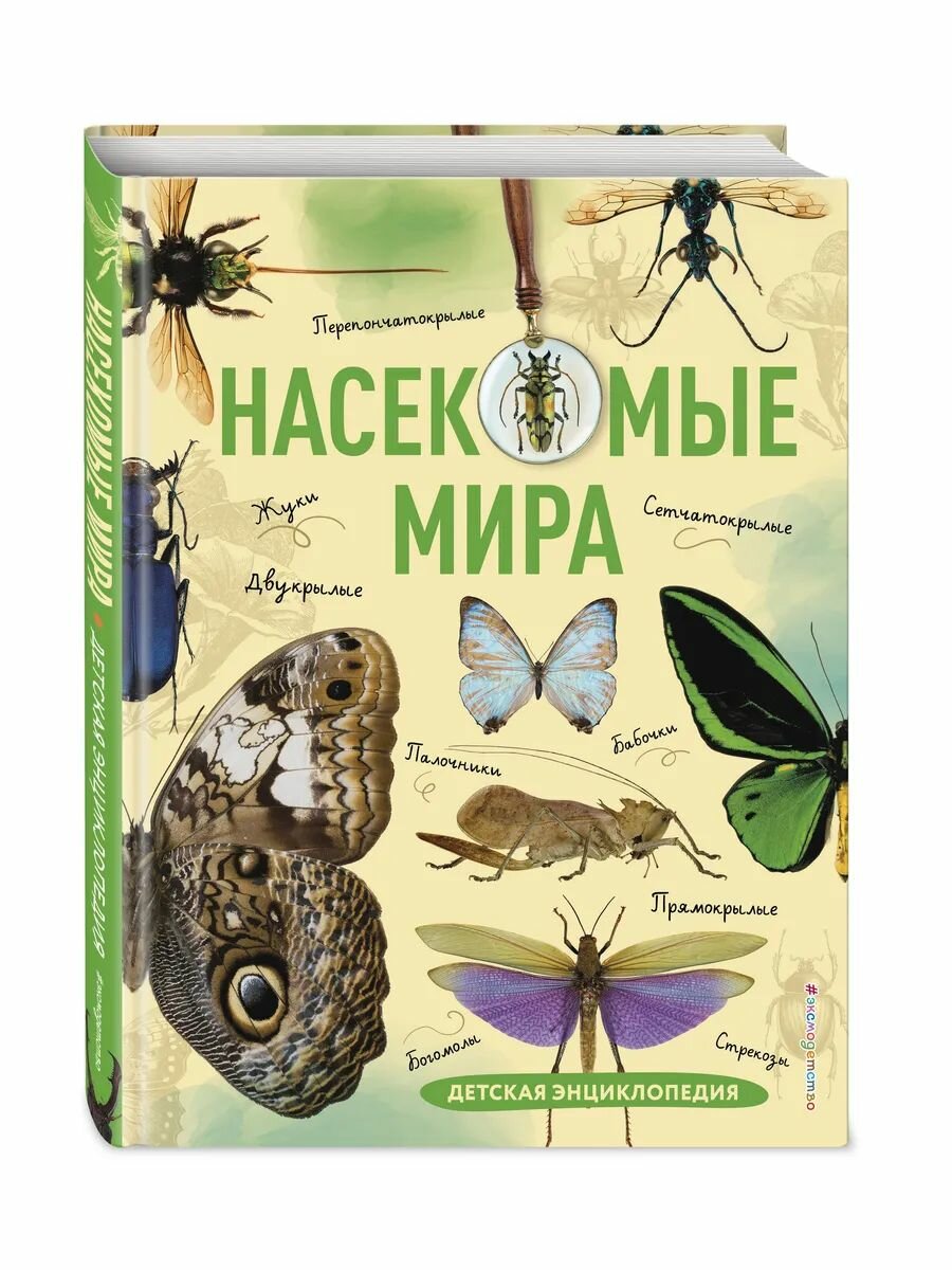 Насекомые мира. Детская энциклопедия