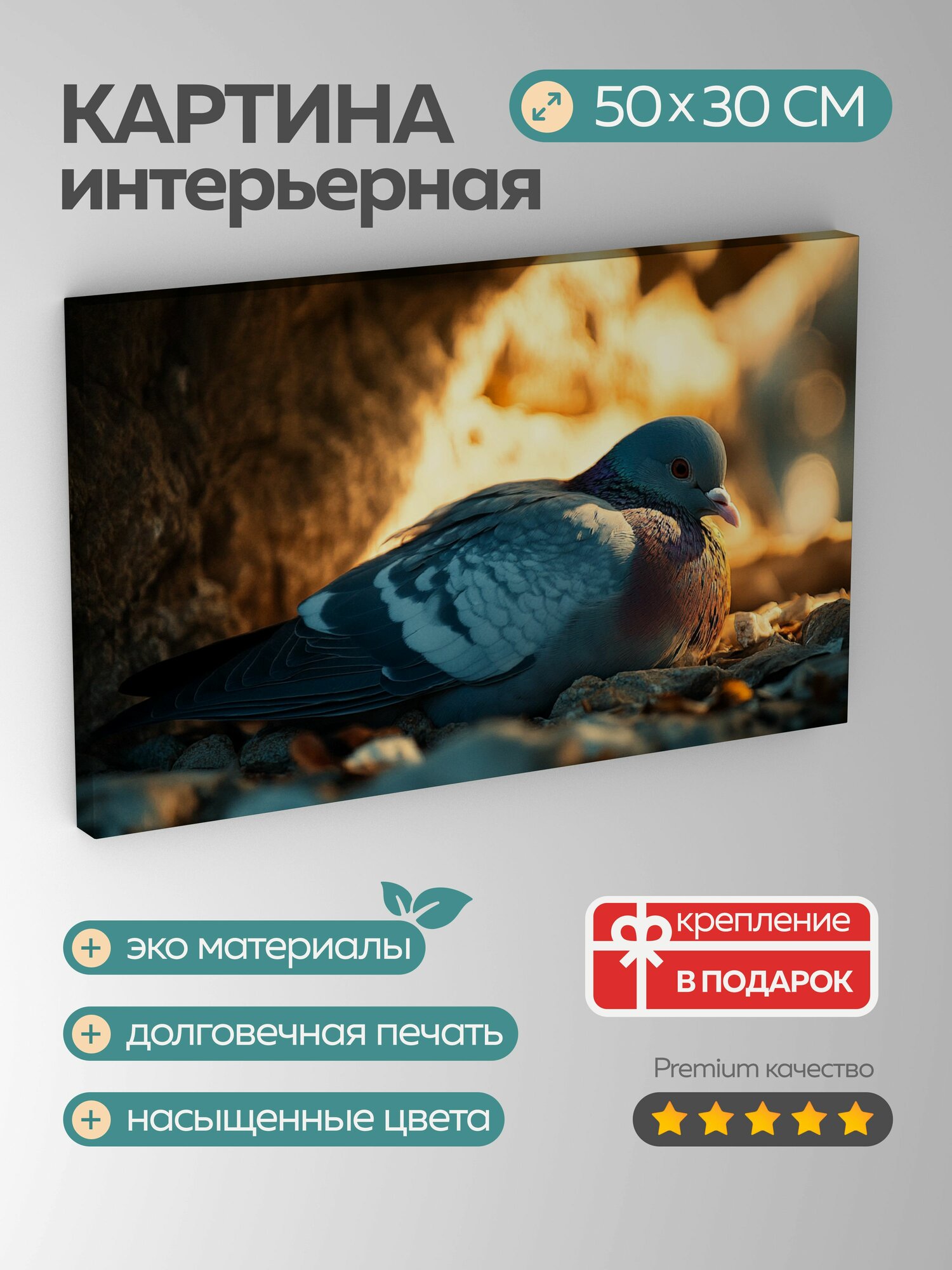 Картина на холсте интерьерная 50х30 см, голубь, уединенная ниша, теплый свет, мирная атмосфера, тихий уголок