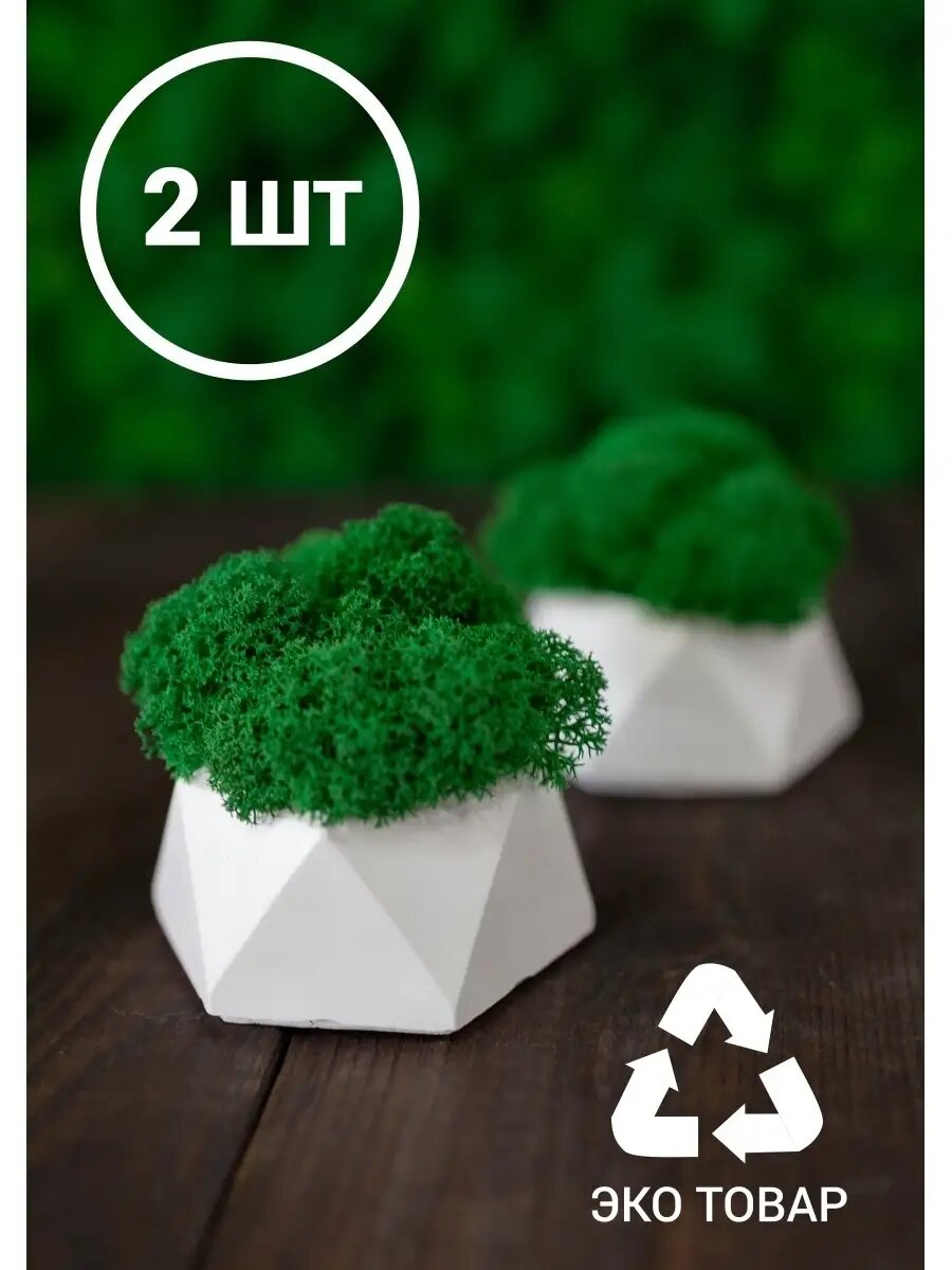 Кашпо StabFlora для декора интерьера, стабилизированный мох, ручная работа, 2 шт