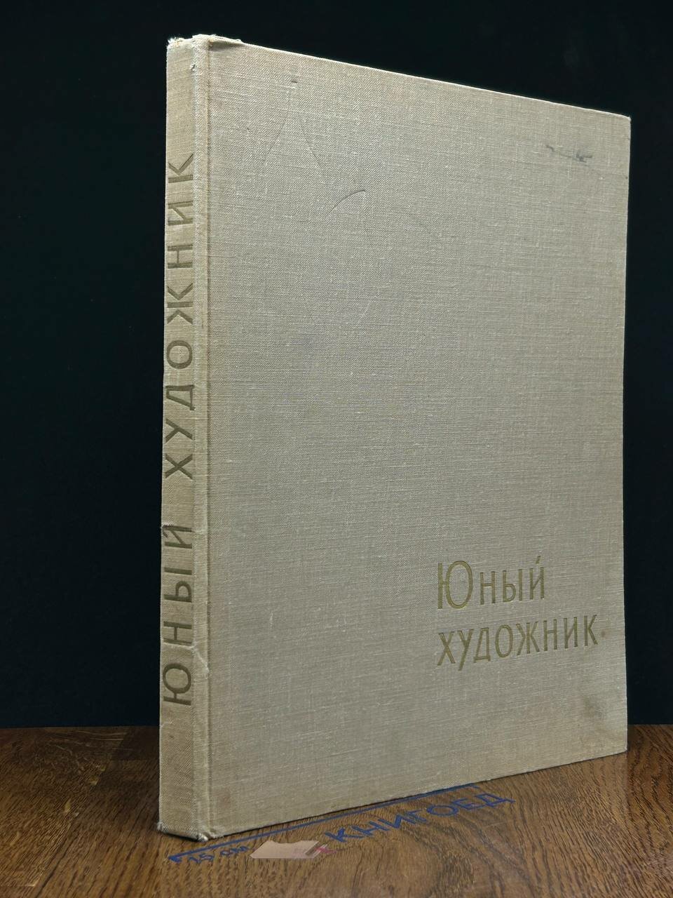 Книга. Юный художник 1964 (2043903067204)