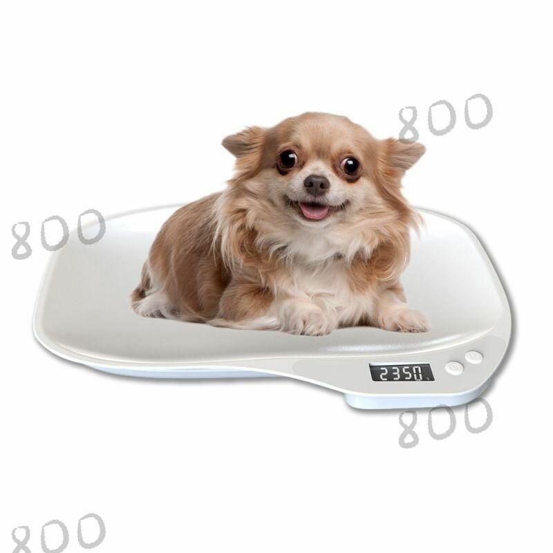 Весы для домашних животных, устройство для взвешивания мелких животных, точное измерение