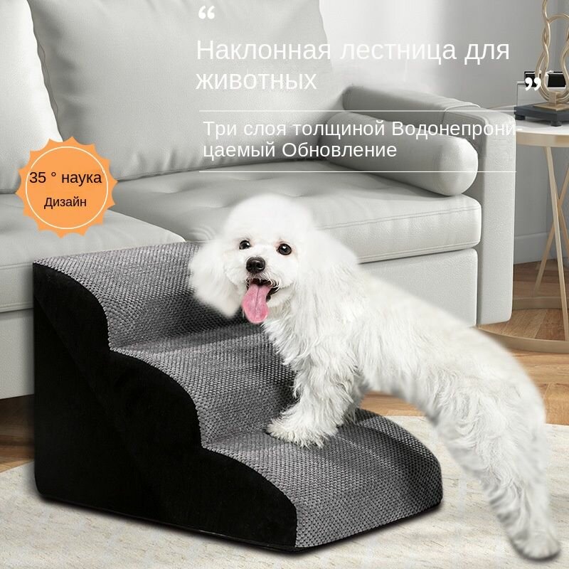 Домашние кошки и собаки карабкаются по лестнице дома на диване по наклонной лестнице