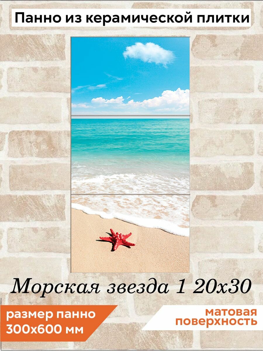 Панно из керамической плитки Fres-co "Морская звезда 1 20х30" керамическое, декоративное, матовое