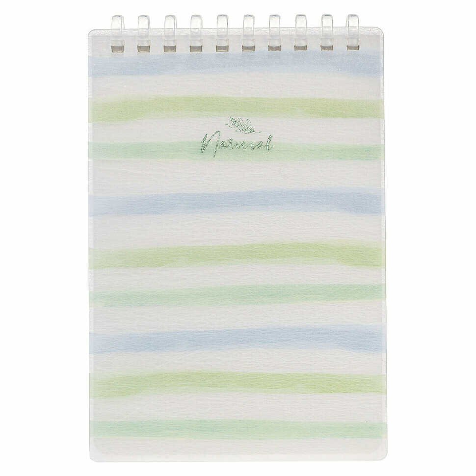 Блокнот малый формат А6, 80 л, мягкий гребень, пластик, фольга, клетка, HATBER, NATURAL LINES, 090246, 80Б6A1мс_33481, 117750