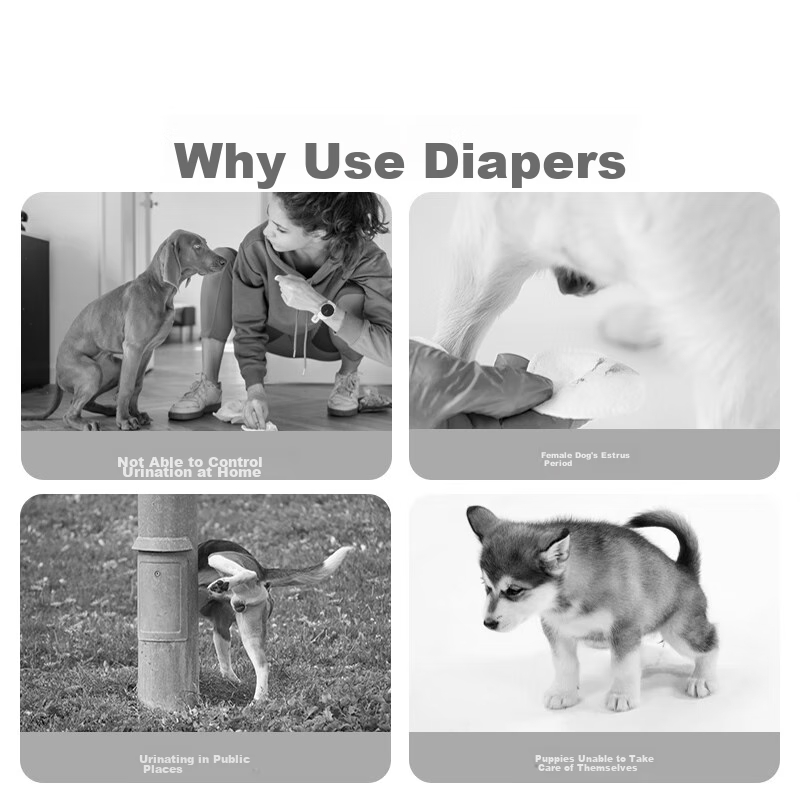 Hipidog Dog Physiological Pads, Urine Pads, Diapers, Female Dog Incontinence Pads, Sanitary Napkins, Menstrual Pads, XXS Size, 12 Pieces