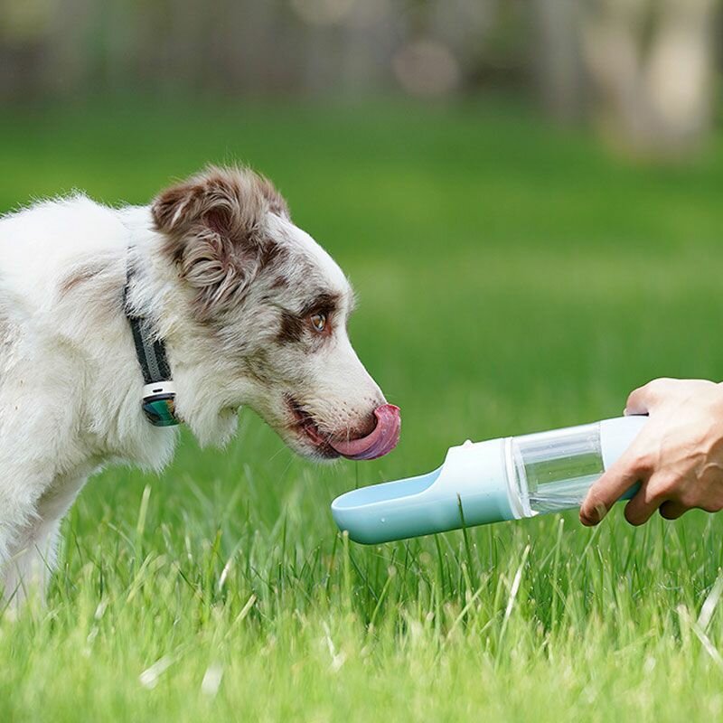 Портативная поилка кормушка для животных/Бутылка миска дорожная прогулочная для кошек, собак/Переносной уличный дозатор воды, 200 мл. цвет голубой
