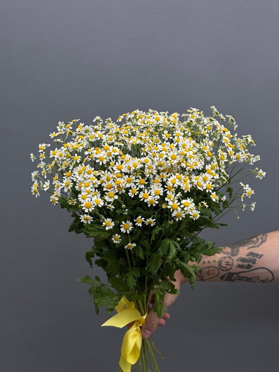 Букет кустовых ромашек (Танацетум) 15 штук, от "Exotica flowers", размер М Высота 50 см