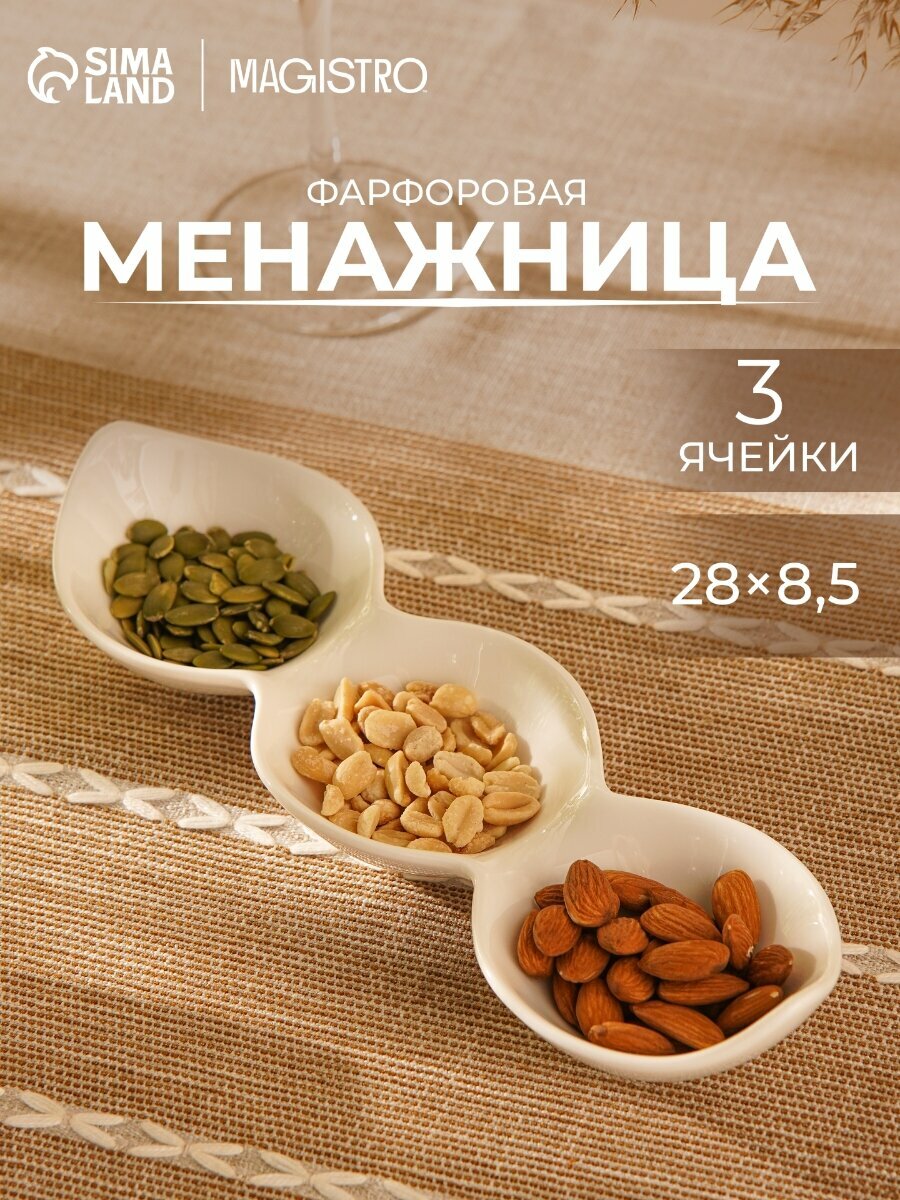 Менажница фарфоровая Magistro «Бланш», 3 ячейки, 28×8.5×4.5 см, белая