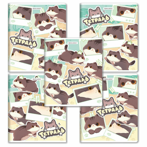 Резерв Тетрадь А5 48л. BRAUBERG милые коты скоба, клетка, выборочный лак, 405193