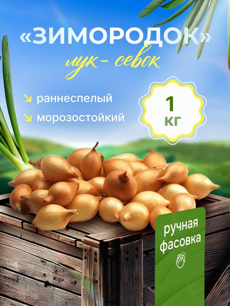 Лук севок на посадку "Зимородок" 1 кг