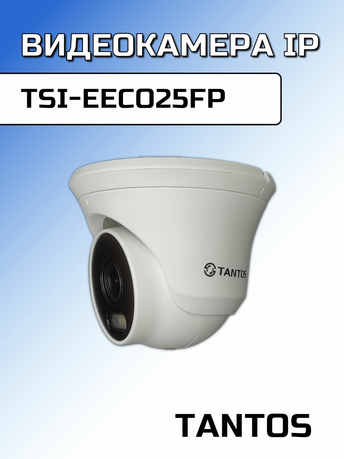 Видеокамера IP TSi-Eeco25FP