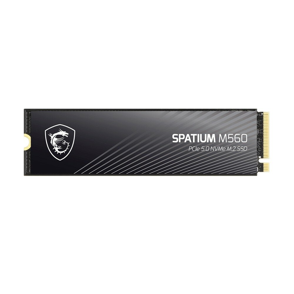 SSD диск MSI S78-440L0F0-P83, 1000 ГБ