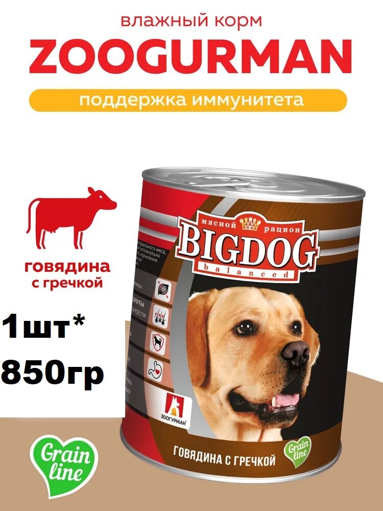 Зоогурман BIG DOG консервы для собак Говядина с гречкой 850г * 1шт