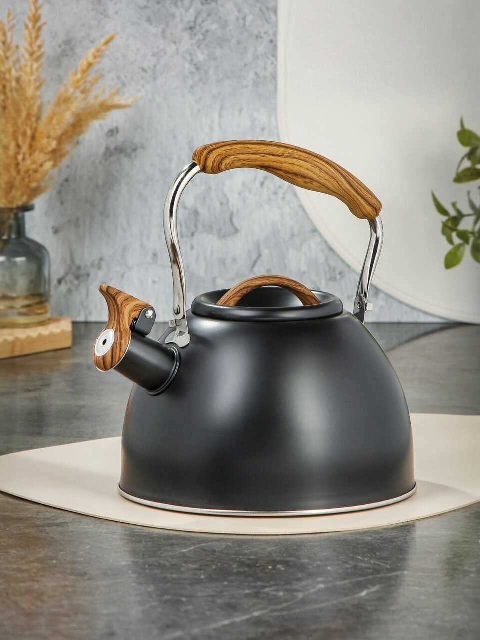 Чайник нержавеющая сталь, 2.5 л, со свистком, матовый, ручка с покрытием, нейлон, Daniks, индукция, GS-04415B