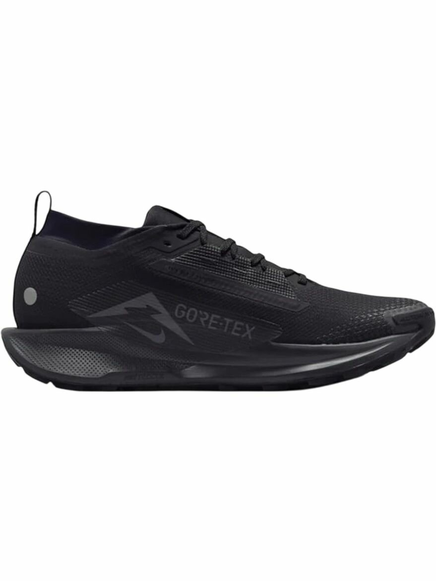 Кроссовки Pegasus Trail 5 GORE-TEX
