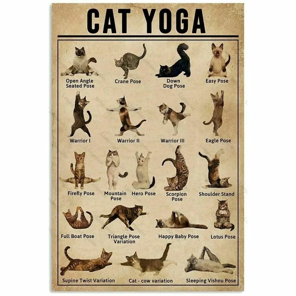 Табличка котий йога "Cat Yoga", ретро стиль, металл, декор для интерьера, 20х30 см.