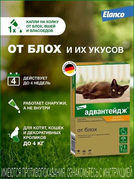 ELANCO Адвантейдж 3 шт по 1 пипетке, капли от блох для котят и кошек весом до 4 кг