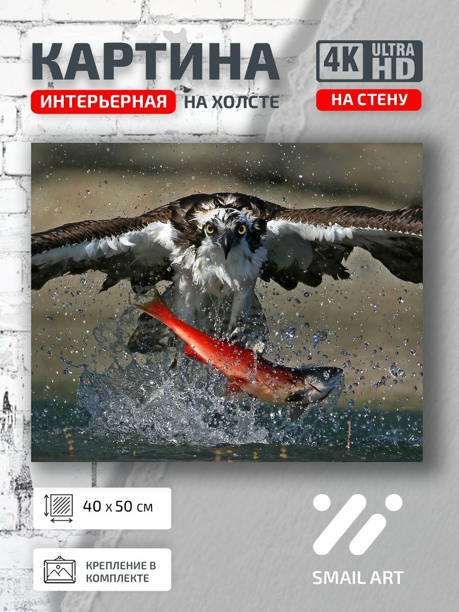 Картина на холсте интерьерная 40 на 50 на стену Брызги Animal для кафе animal style декор