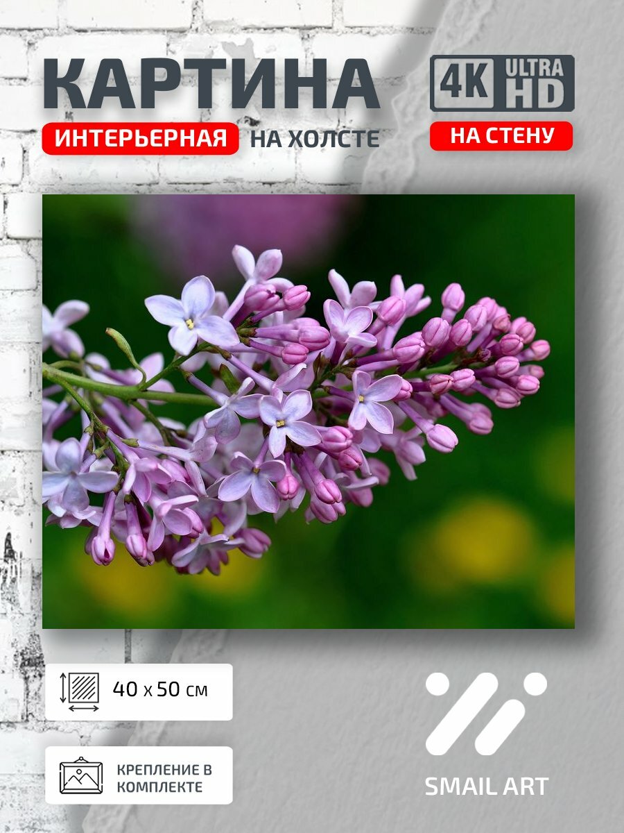 Картина на холсте интерьерная 40 на 50 на стену Цветы Landscape для гостиной пейзаж декор