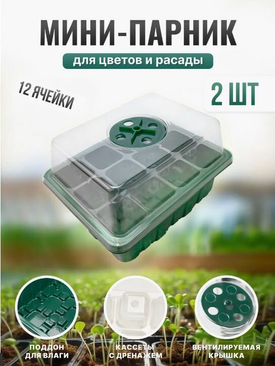 Мини парник для рассады с крышкой