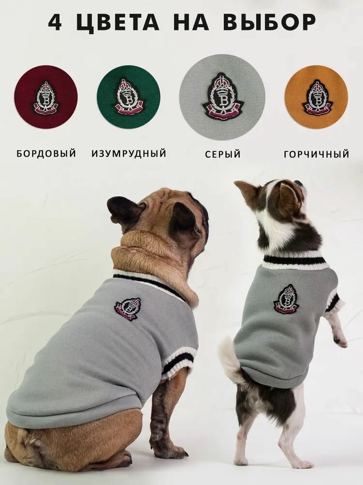 Одежда для животных QWQ — фото 1