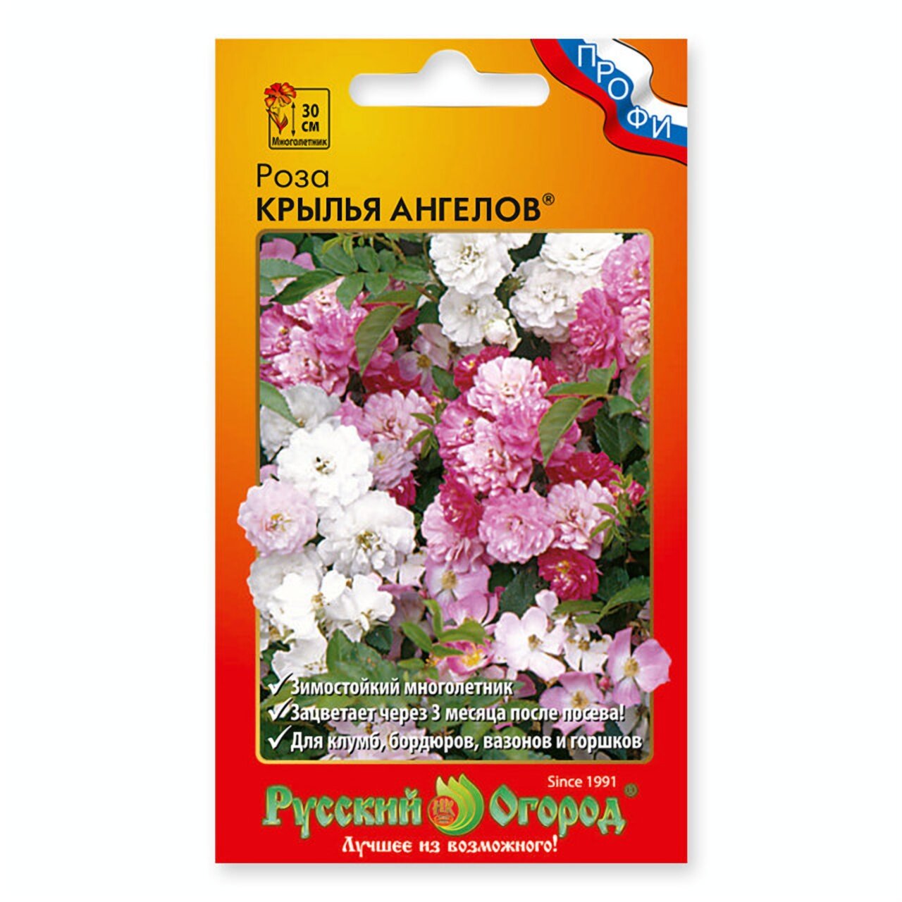 Семена роза крылья ангелов 10 шт, для дачи, сада, огорода и на рассаду