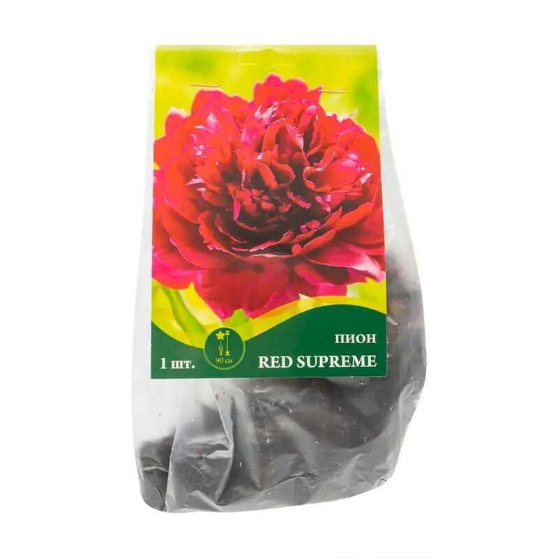 Корень пиона, 1шт, станет настоящим украшением вашего дачного участка, радуя вас пышными и ароматными цветами каждый год, создадут атмосферу романтики и умиротворения в вашем саду.