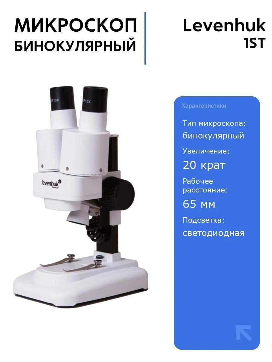 Бинокулярный микроскоп Levenhuk 1ST с увеличением 20 крат, для изучения биологических образцов и минералов