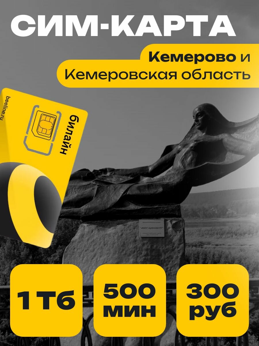 Сим-карта Билайн тариф Эксклюзивный Кемеровская область 1000 Гб + 500 минут за 300 руб.