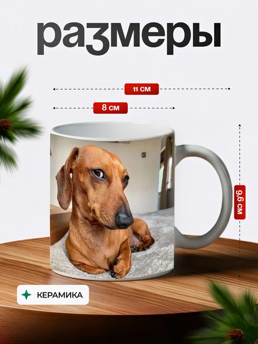 Кружка Такса 7, — фото 1