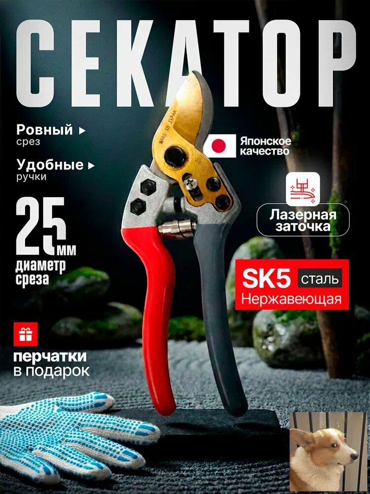 Секатор