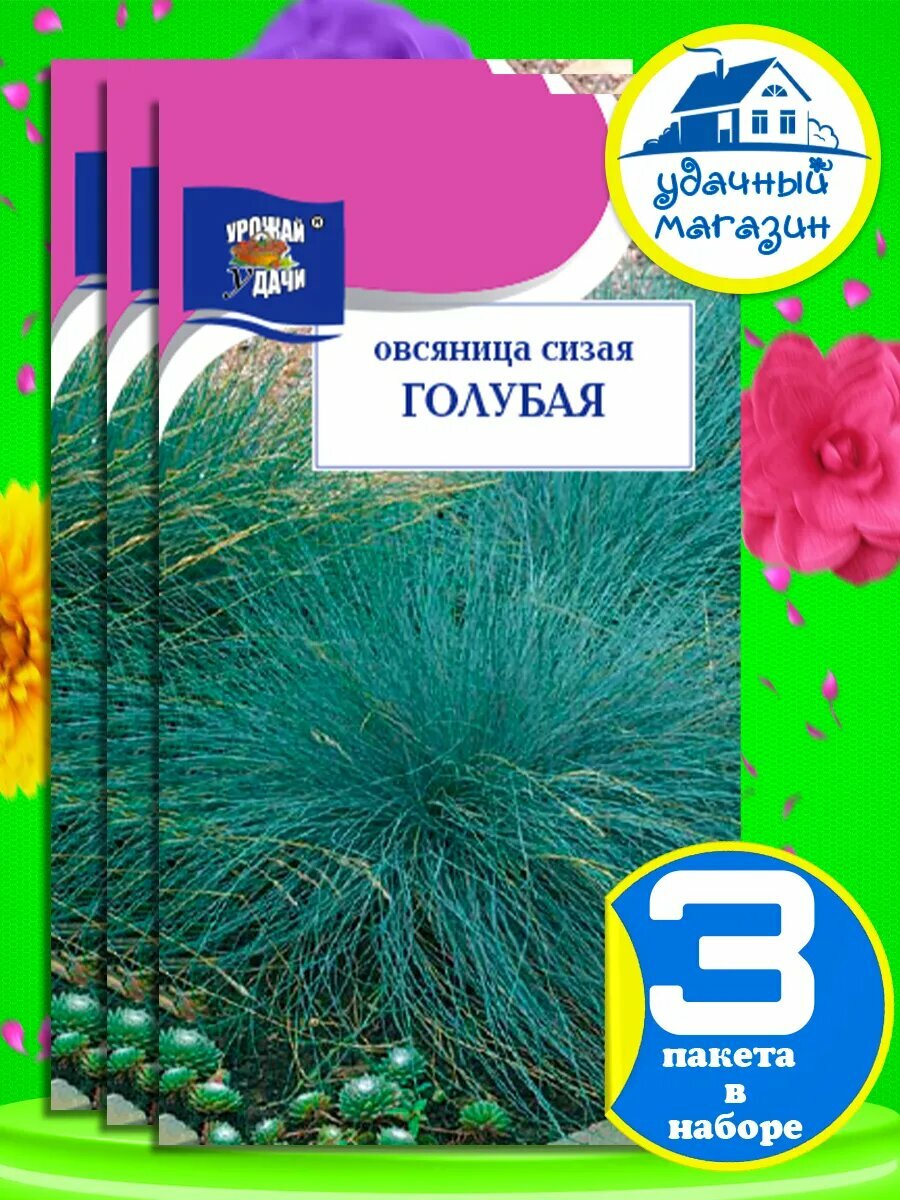 Семена овсяница сизая голубая многолетняя