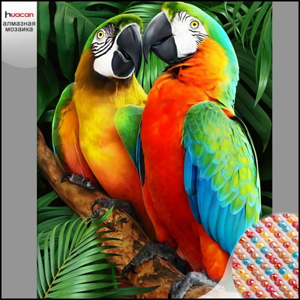 Алмазная мозаика без подрамника 30x40 "АБ бриллианты"Два попугая"круговой стразы живопись