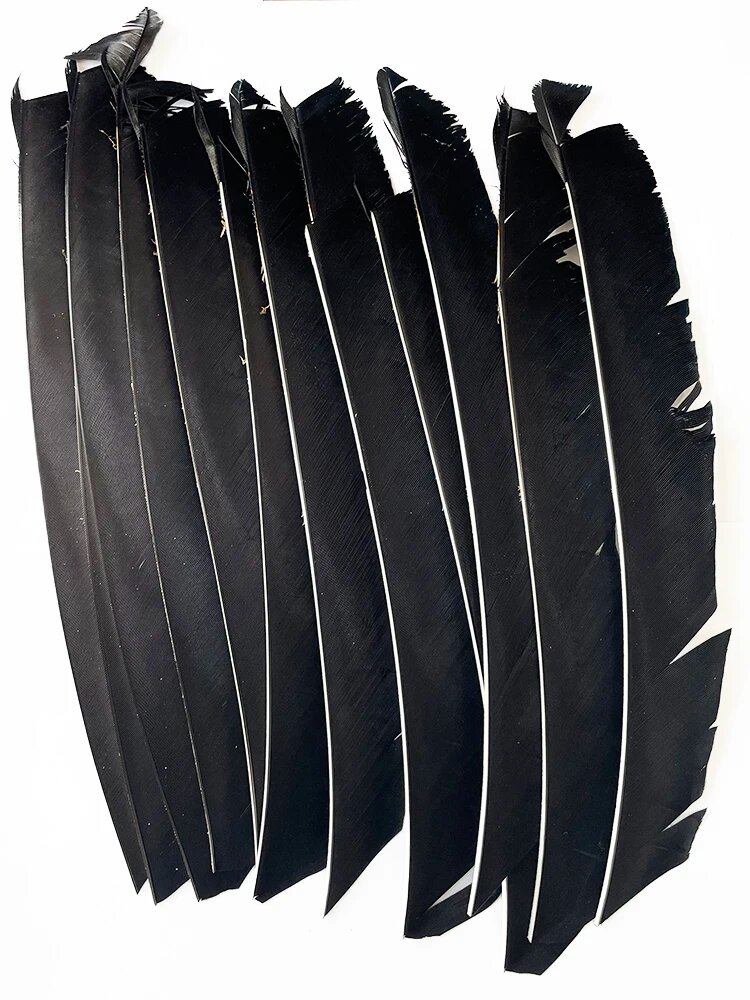 Перья для стрел индейка 100 шт. Черный, black