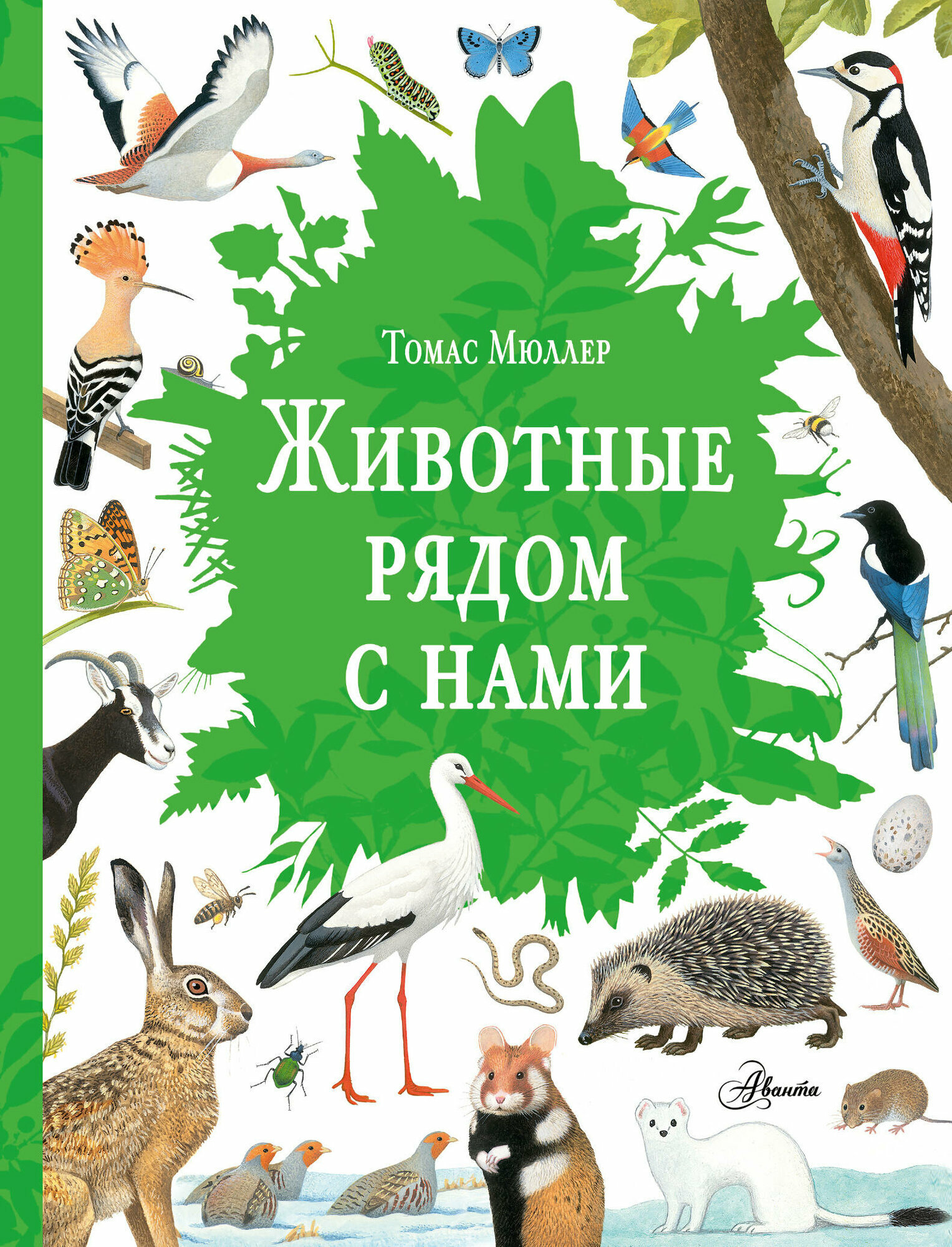 Животные рядом с нами Томас Мюллер