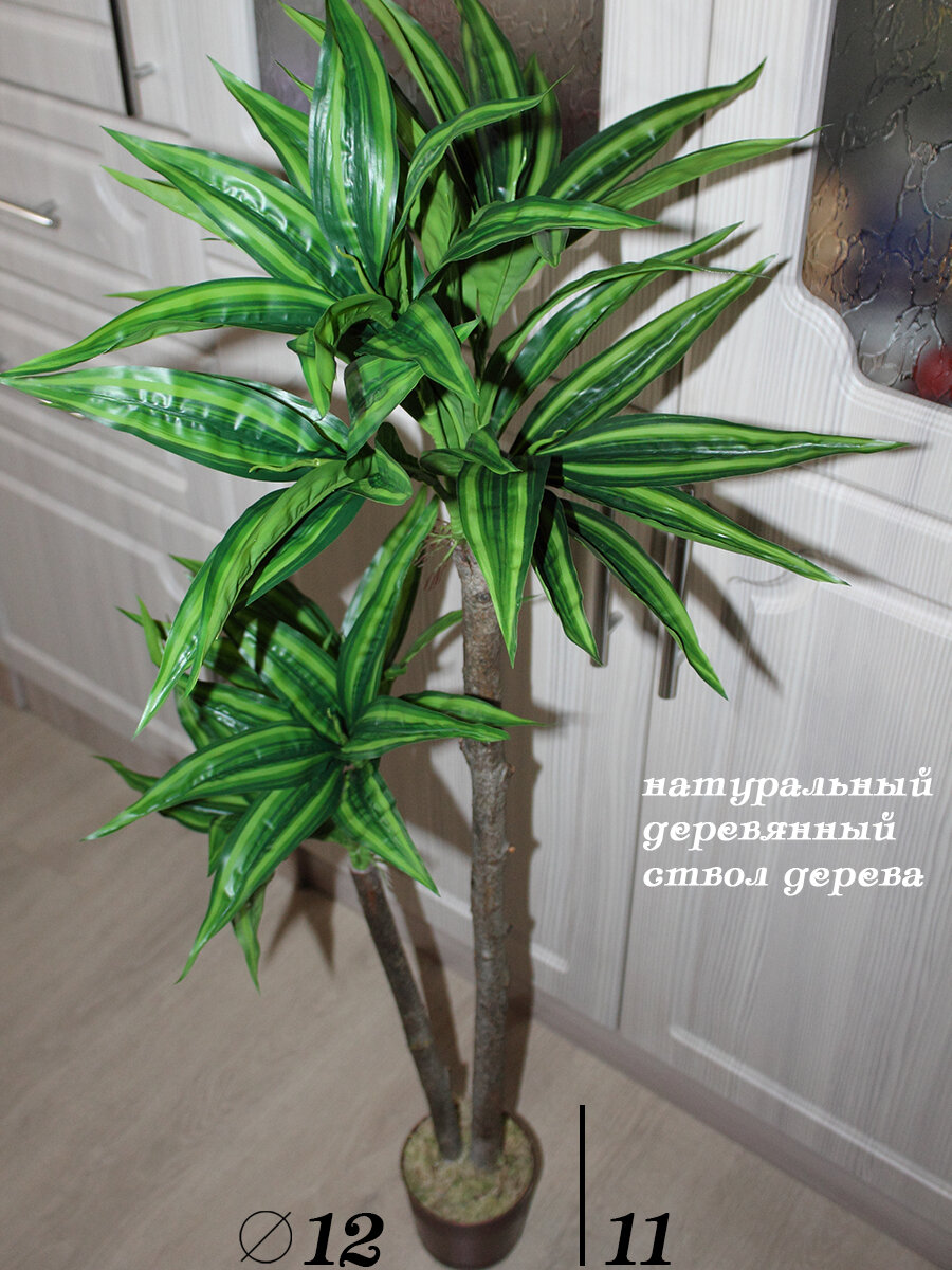 Искусственные растения Holodilova "Драцена", вспененный латекс, цвет зеленый, высота 40 см