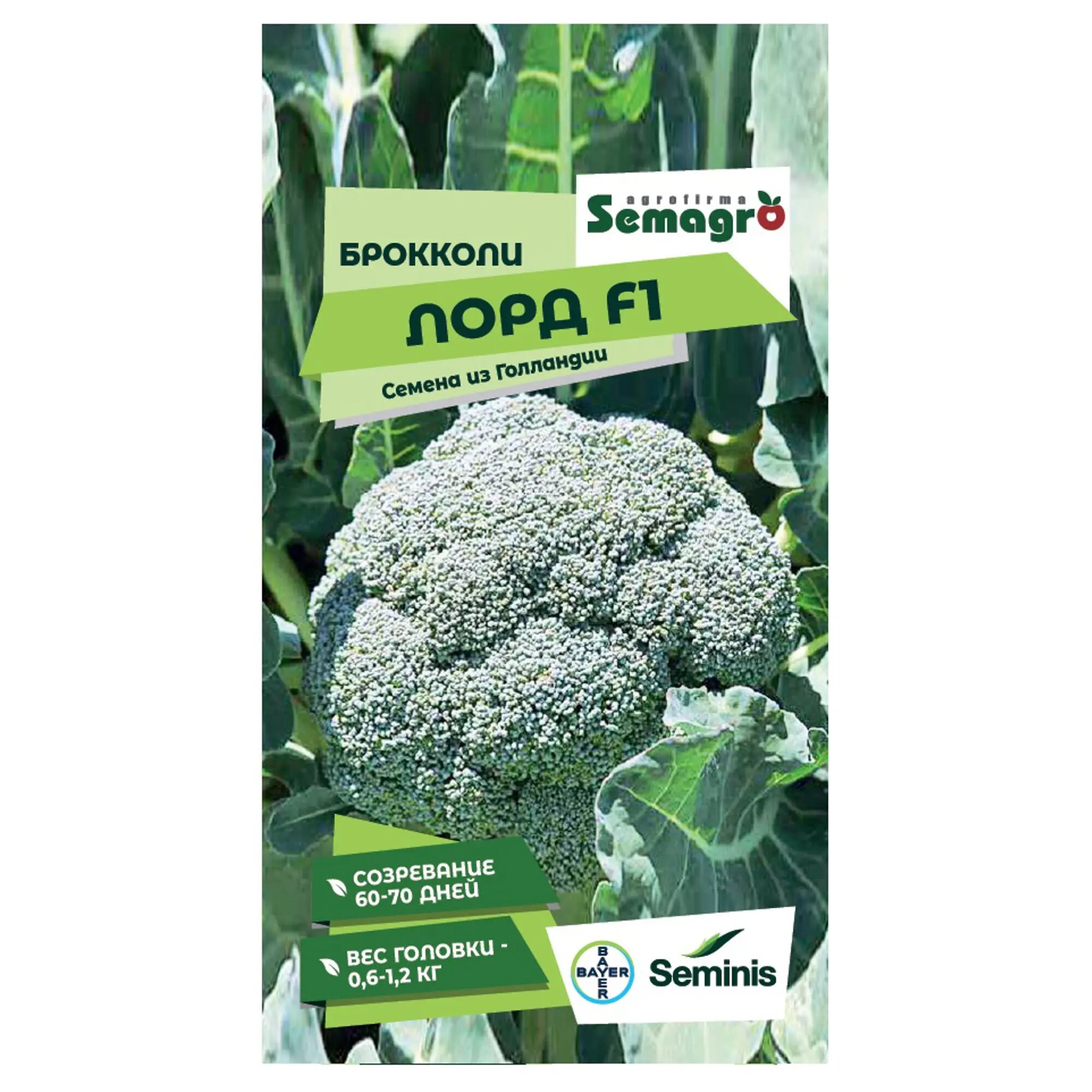 Seminis Брокколи Лорд F1 семена овощей гибрид F1 для открытого грунта высокий урожай