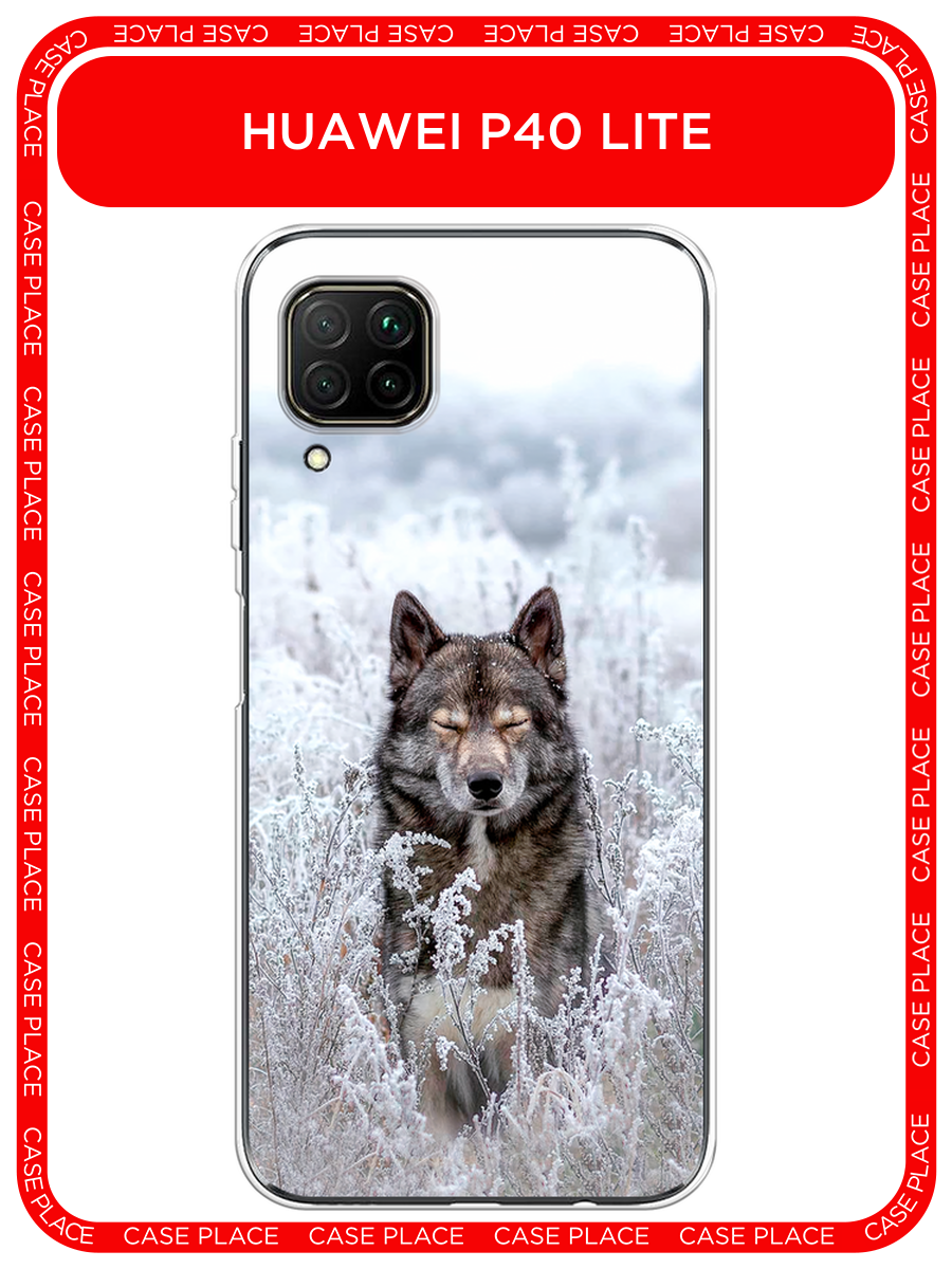 Чехол на Huawei P40 Lite/Nova 6 SE/Nova 7i / Хуавей P40 Lite/Нова 6 SE/Нова 7i с принтом Волк в поле