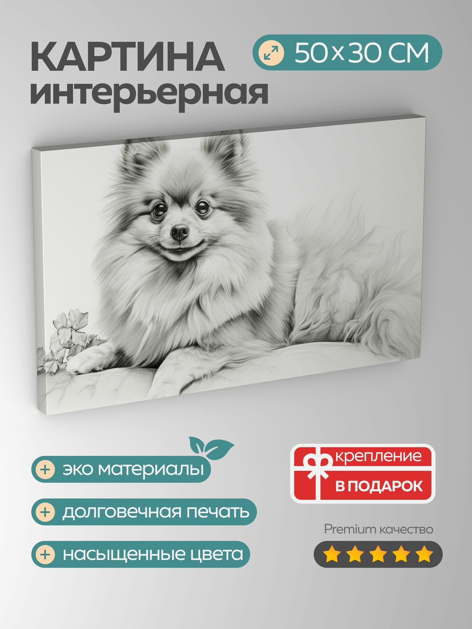 Картина на холсте интерьерная 50х30 см, карандашный, набросок, шпиц, царственная аура, аристократические черты, красота