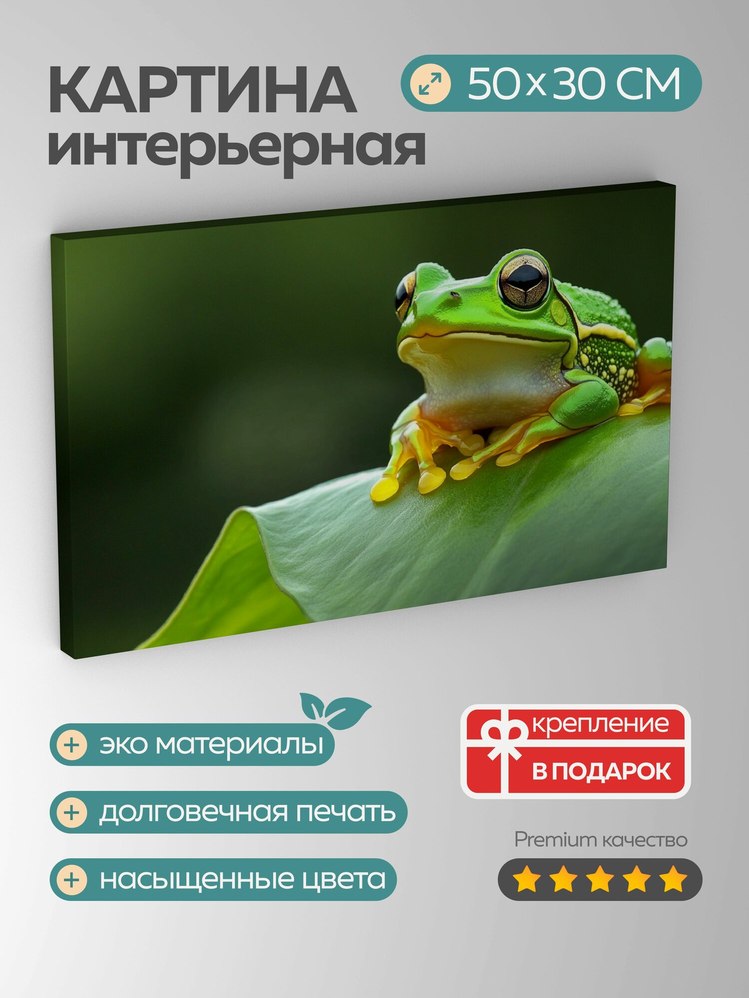 Картина на холсте интерьерная 50х30 см, лягушка, зеленая, лист, пруд, фокус, освещение, кожа, прожилки, Nikon, объектив