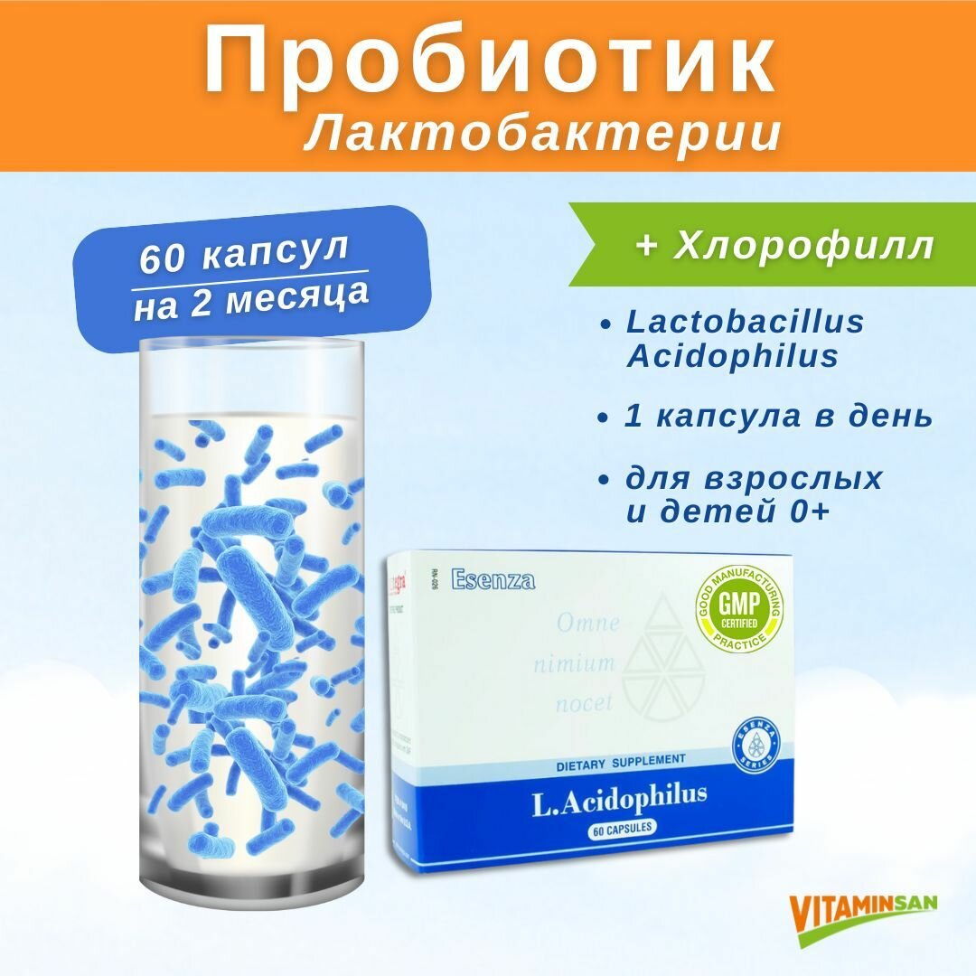 Л. Ацидофилус Santegra , пробиотик , лактобактерии , микрофлора кишечника , 60 капсул, хлорофилл на 2 недели. Сантегра