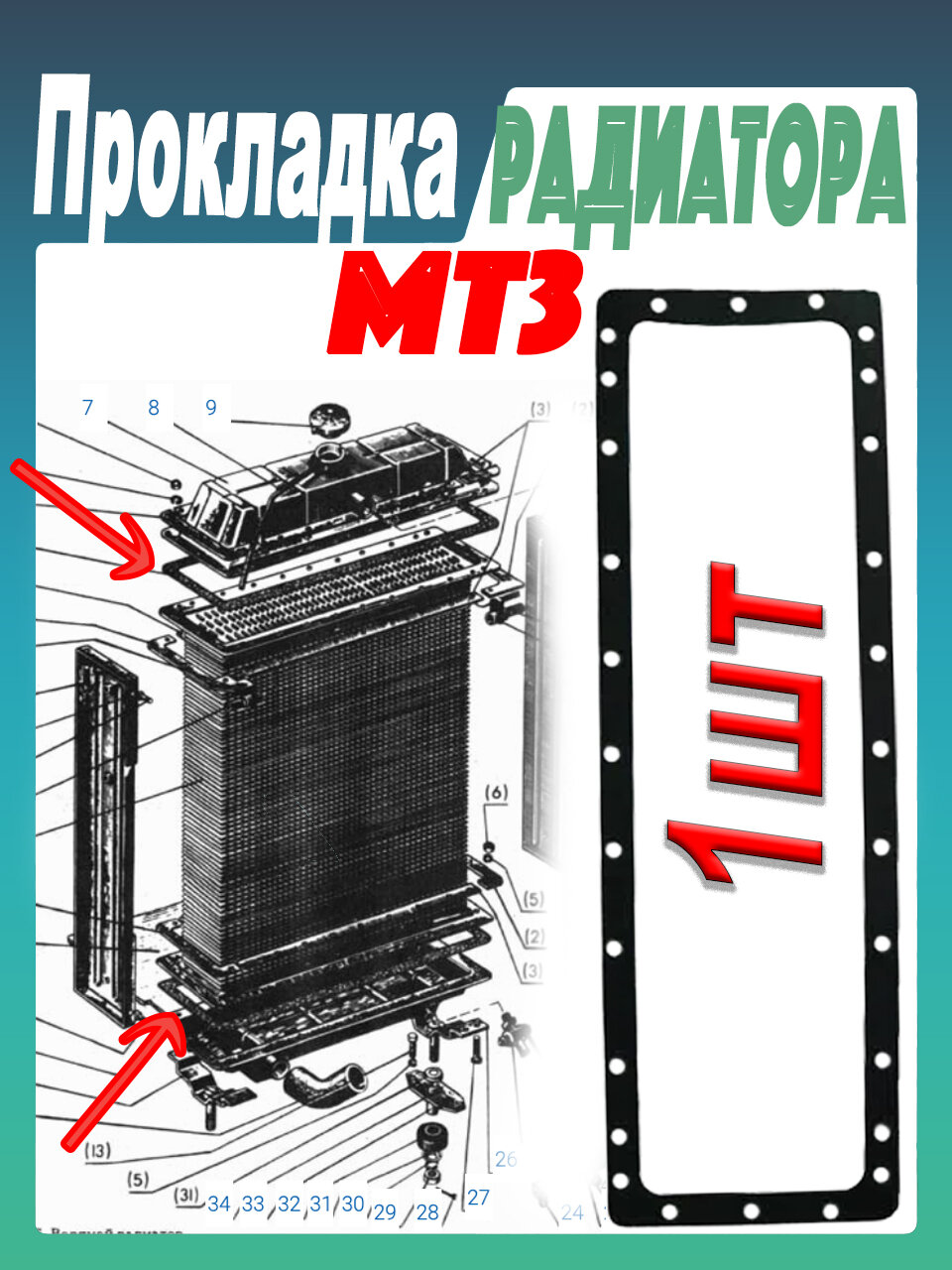 Прокладка бачка радиатора МТЗ 70У-1301169