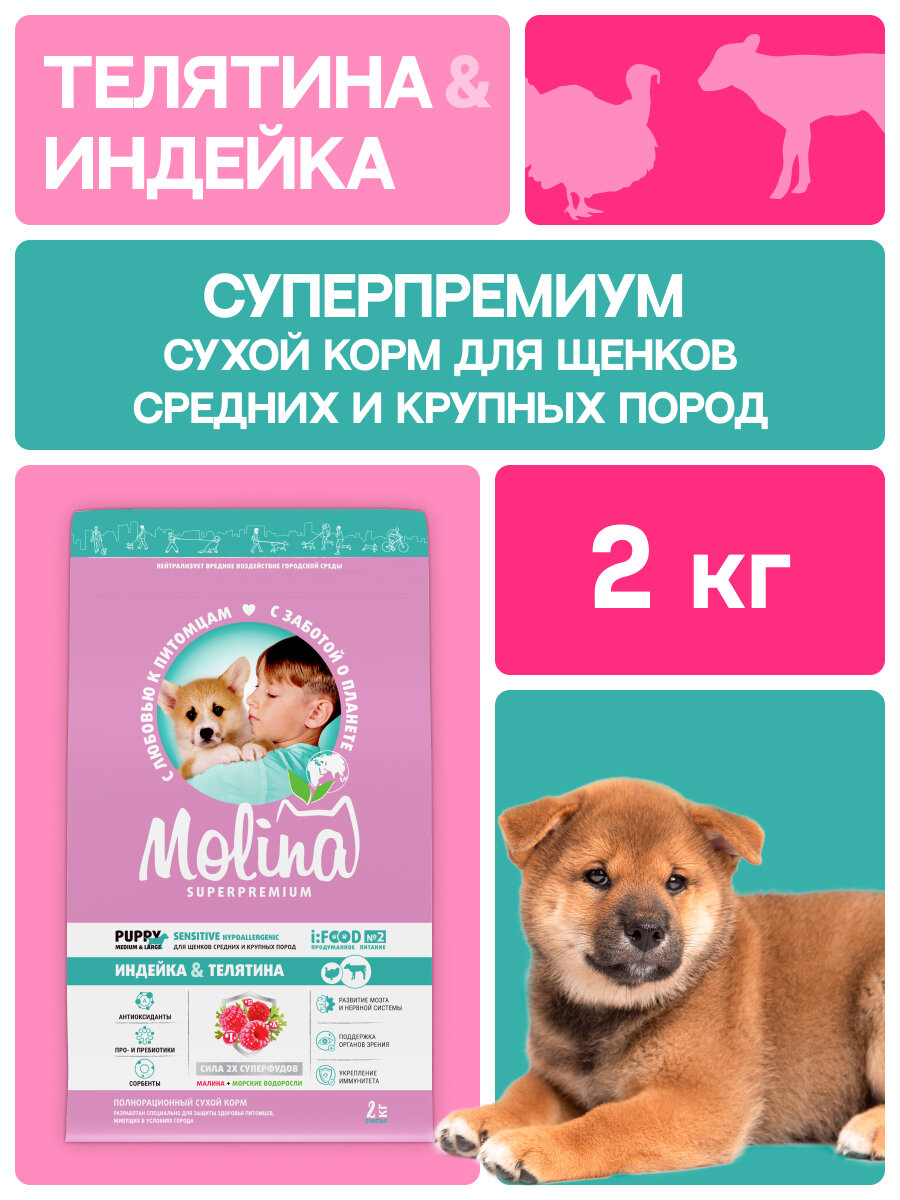 Сухой корм для щенков и молодых собак средних и крупных пород с индейкой и телятиной, 2 кг MOLINA