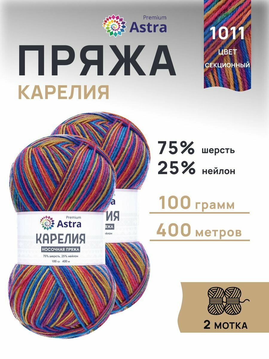 Пряжа носочная Astra Premium 'Карелия', 2 шт, 100г, 400м (75% шерсть, 25% нейлон) (1011)