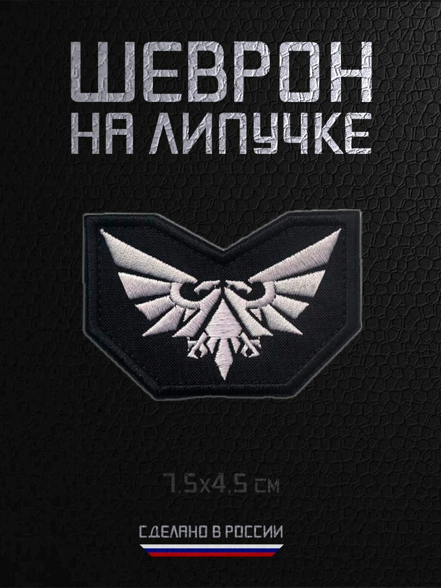 Шеврон нашивка Ваха Аквила