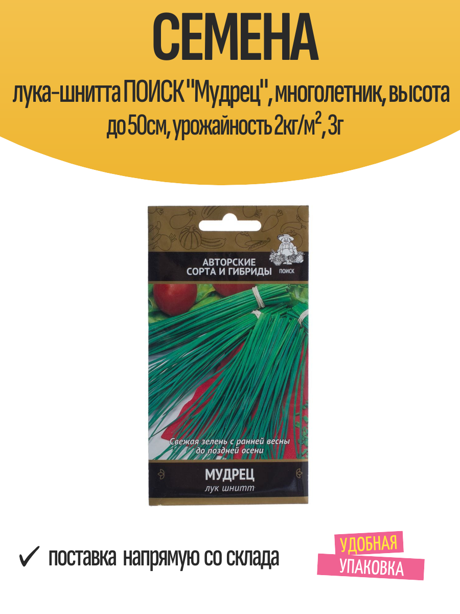 Семена лука-шнитта поиск "Мудрец", многолетник, высота до 50см, урожайность 2кг/м², 3г