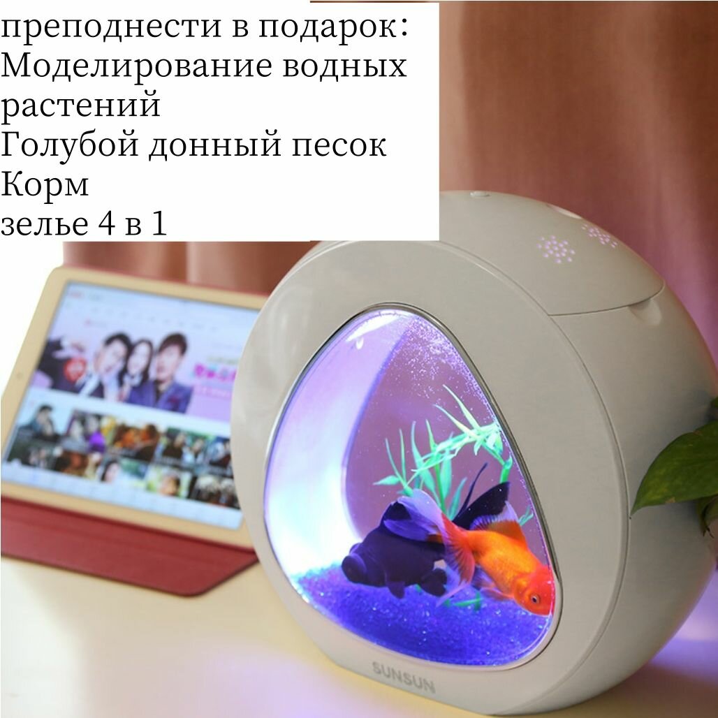 Мини-аквариум с насосом и фильтром, 6л, 316*165*345 мм