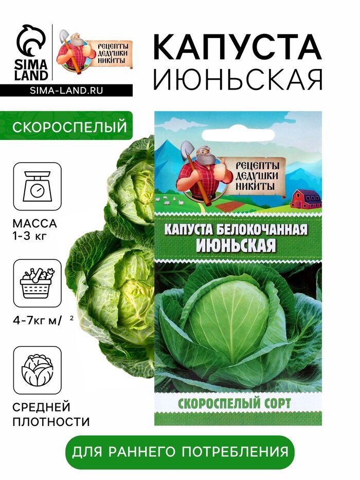 Семена Капуста белокочанная Июньская, 0.5 г, скороспелая, Рецепты дедушки Никиты, 2 шт.