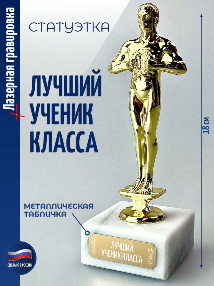 Награда "Лучший ученик класса" (18 см)