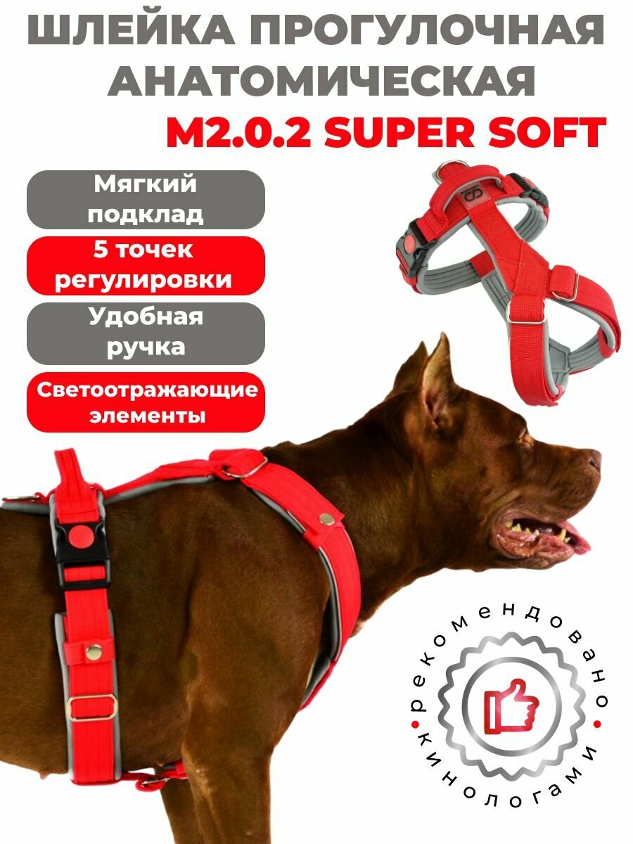 Шлейка с ручкой и мягким подкладом для собак прогулочная анатомическая, CORADOG M 2.0.2. , размер R6, цвет красный, серый